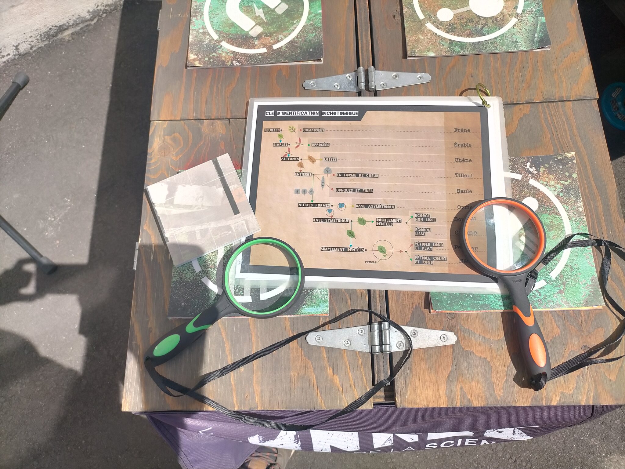 "les Éclaireurs", jeu d'invasion extérieur - Alexandre SCHOHN